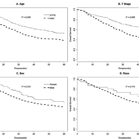 Survival Curves Of Age A T Stage B Sex C Race D To Patients Of