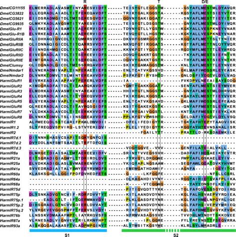 Alignment Of Ligand Binding Domains From Putative H Armigera Iglurs