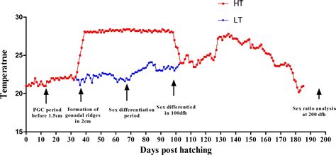 Frontiers Transcriptome Profiling Insights The Feature Of Sex Free