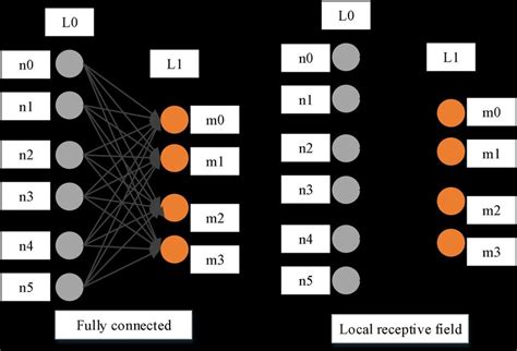 Schematic Diagram Of Local Perception Field Download Scientific Diagram