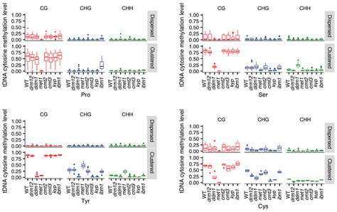 Dna Methylation Landscape At Clustered Tdnas In Dna Methylation Mutant