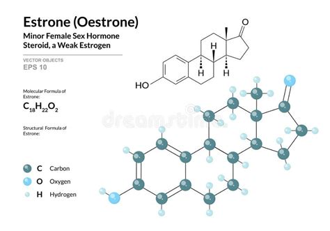 Estrone Oestrone Human Estrogen Hormone Molecule Atoms Are
