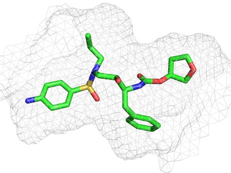 Surface Type Pymol Wiki