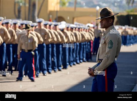 U S Marine Corps Gunnery Sgt Joseph C Hunt A Drill Master With