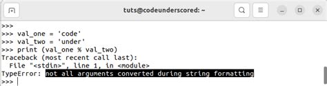 python throw exception explained with examples code underscored