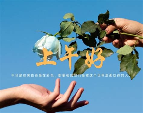 2023最新上午好图片带字唯美 上午好图片带字唯美大全 配图网