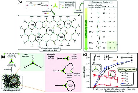 Defects And Defect Engineering In Soft Matter Soft Matter Rsc