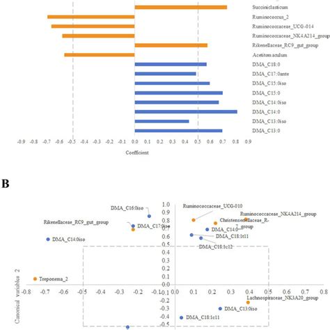 Canonical Correlation Analysis Cca Similarity Maps For The Bacterial