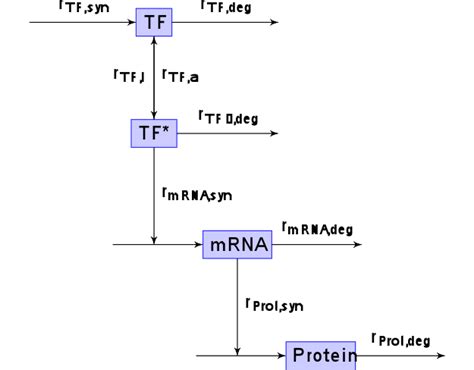 Examples Stochpy Stochastic Modeling In Python