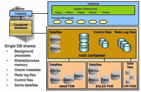 oracle dba hub 12c