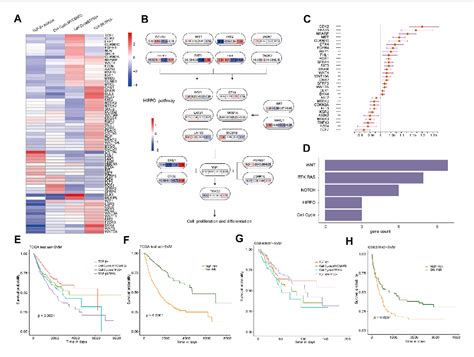Figure 3 From Oncogenic Signaling Pathway Dysregulation Landscape