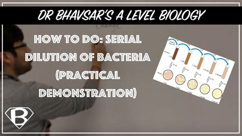 How To Do Serial Dilution Of Bacteria Practical Demonstration Youtube