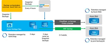 sap on azure netapp files sizing best practices