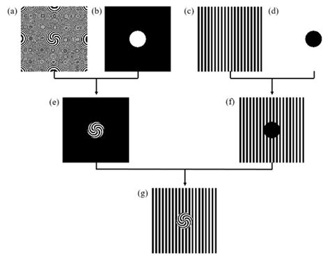 Photonics Free Full Text Extending Focal Depth Of Flower Shaped