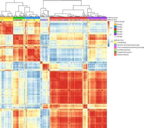 The Hierarchical Cluster Of The Correlations Between 317 Pathways