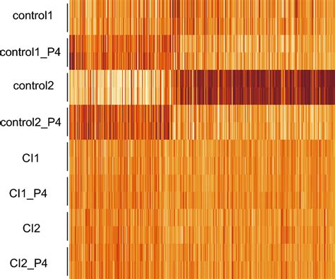 Comparison Of Expression Levels Of P4 Response Genes Using Rna