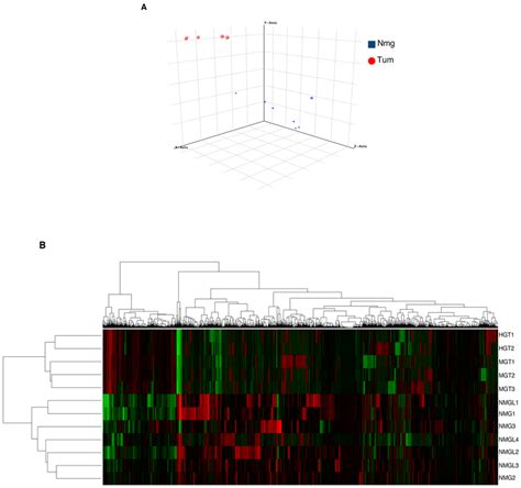Gene Expression Analysis Of Mammary Glands Explanted From R26akt1e17k