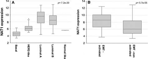 The Expression Levels Log2 Of Nat1 Among Molecular Subtypes A And