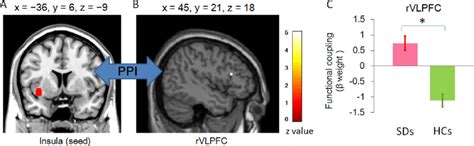 Functional Connectivity Between Insula And Rvlpfc During The