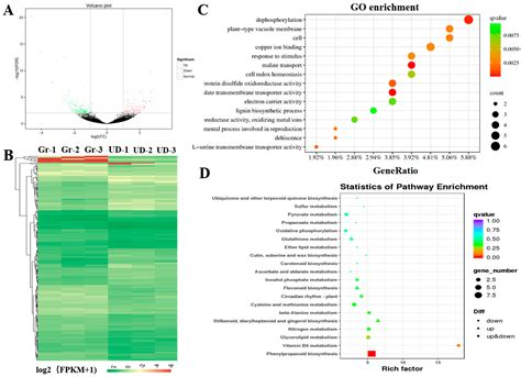 Ijms Free Full Text Joint Qtl Mapping And Transcriptome Sequencing