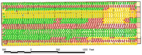 Prescription Application Map Of Variable Rate Nitrogen Trial Colored
