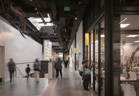 The Burke Museum Of Natural History And Culture By Olson Kundig
