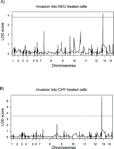 Genome Wide Scan To Detect Quantitative Trait Loci Qtl Associated
