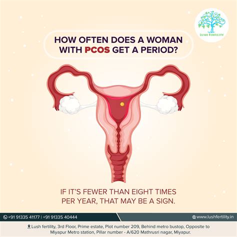 Best Gynecologist And Pcos Doctor In Hyderabad Dr Smitha Reddy