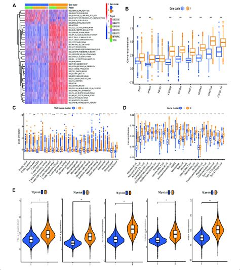 Biological Pathways And Tumor Microenvironment Characteristics In