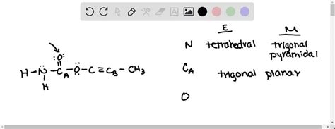 Solved Complete The Lewis Structure For The Hypothetical Molecule