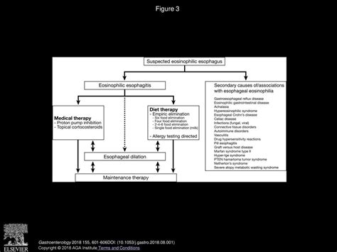How To Approach A Patient With Eosinophilic Esophagitis Ppt Download