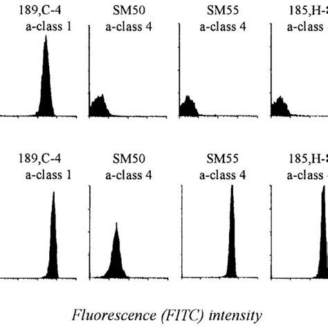 Flow Cytometry Histograms Showing Binding Of Different Mabs To Viable