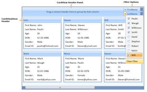 overview in wpf card view control syncfusion