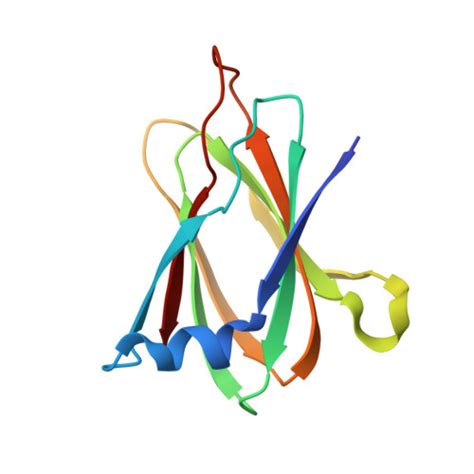 Rcsb Pdb 6ake Crystal Structure Of Mouse Claudin 3 In Complex With C