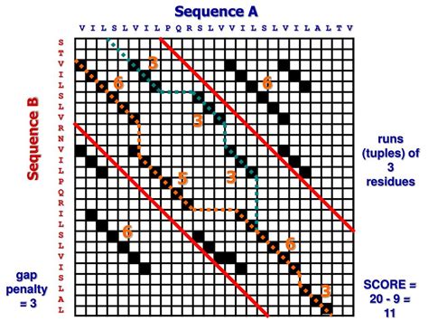Ppt Dot Plots Path Matrices Score Matrices Powerpoint Presentation