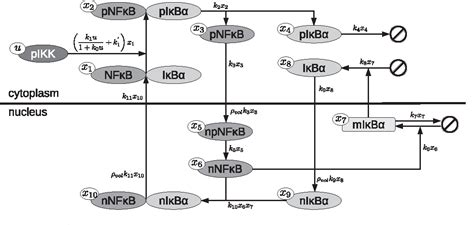 Figure 1 From Higher Order Lie Symmetries In Identifiability And