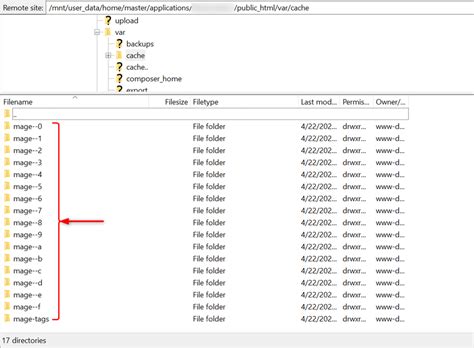 exception printing is disabled by default for security reasons