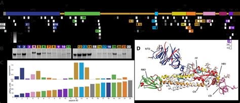 The Distribution Of Putative Hla A 02 01 T Cell Antigens Throughout The