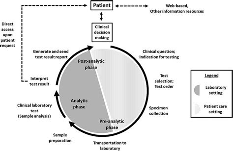 The Total Testing Process Describes The Lifecycle Of A Clinical