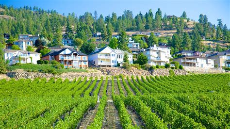 Quails Gate Estate Winery In Kelowna British Columbia Expedia Ca