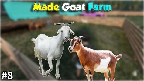 Setting Up Goat Farm Ranch Simulator Gameplay Hindi 8 Youtube