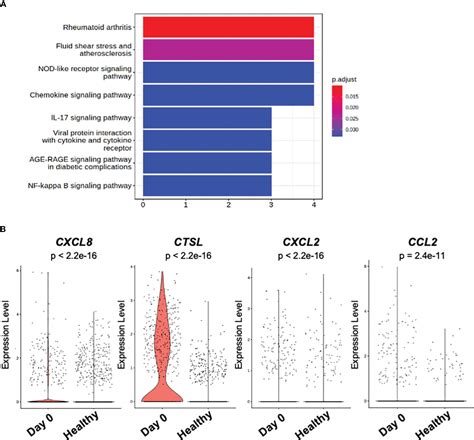 Frontiers Single Cell Rna Seq Analysis Identifies Distinct Myeloid