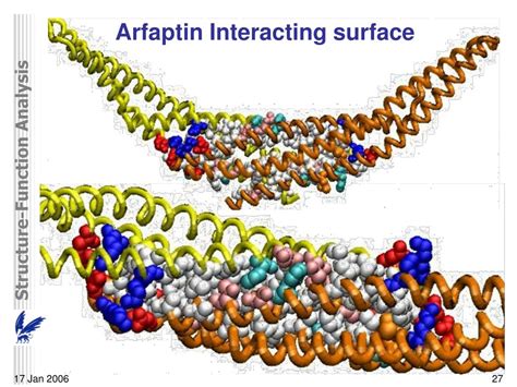 Ppt Dna Protein Structure Function Analysis And Prediction Powerpoint