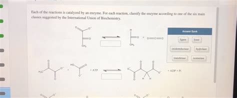 Solved Each Of The Reactions Is Catalyzed By An Enzyme For