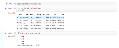 python koalas dataframe read csv reads null column as not null