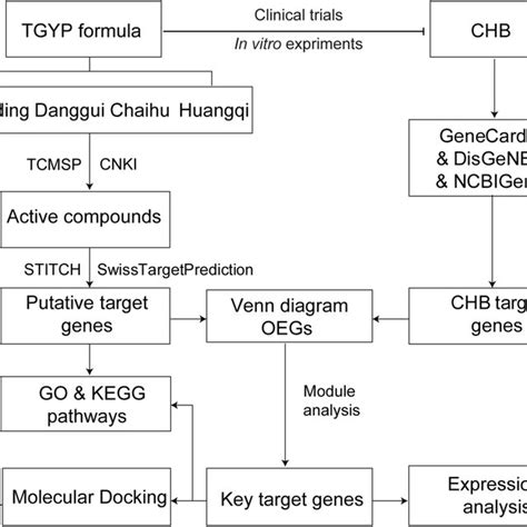 The Molecular Docking Of Key Compounds And Key Target Genes A
