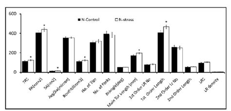 Different Parameters Of Root System Architecture Rsa Of Wheat