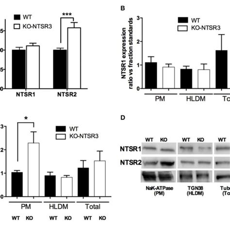 Quantification Of Nt Receptors From Wt And Ntsr3 Sortilin Ko Mice A