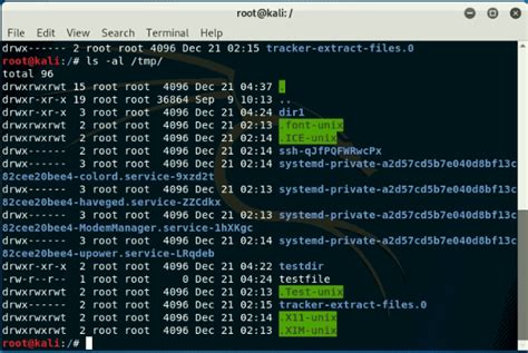 kali linux commands