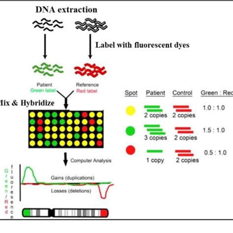 Illustration Of The Whole Genome Whole Exome And Targeted Gene S